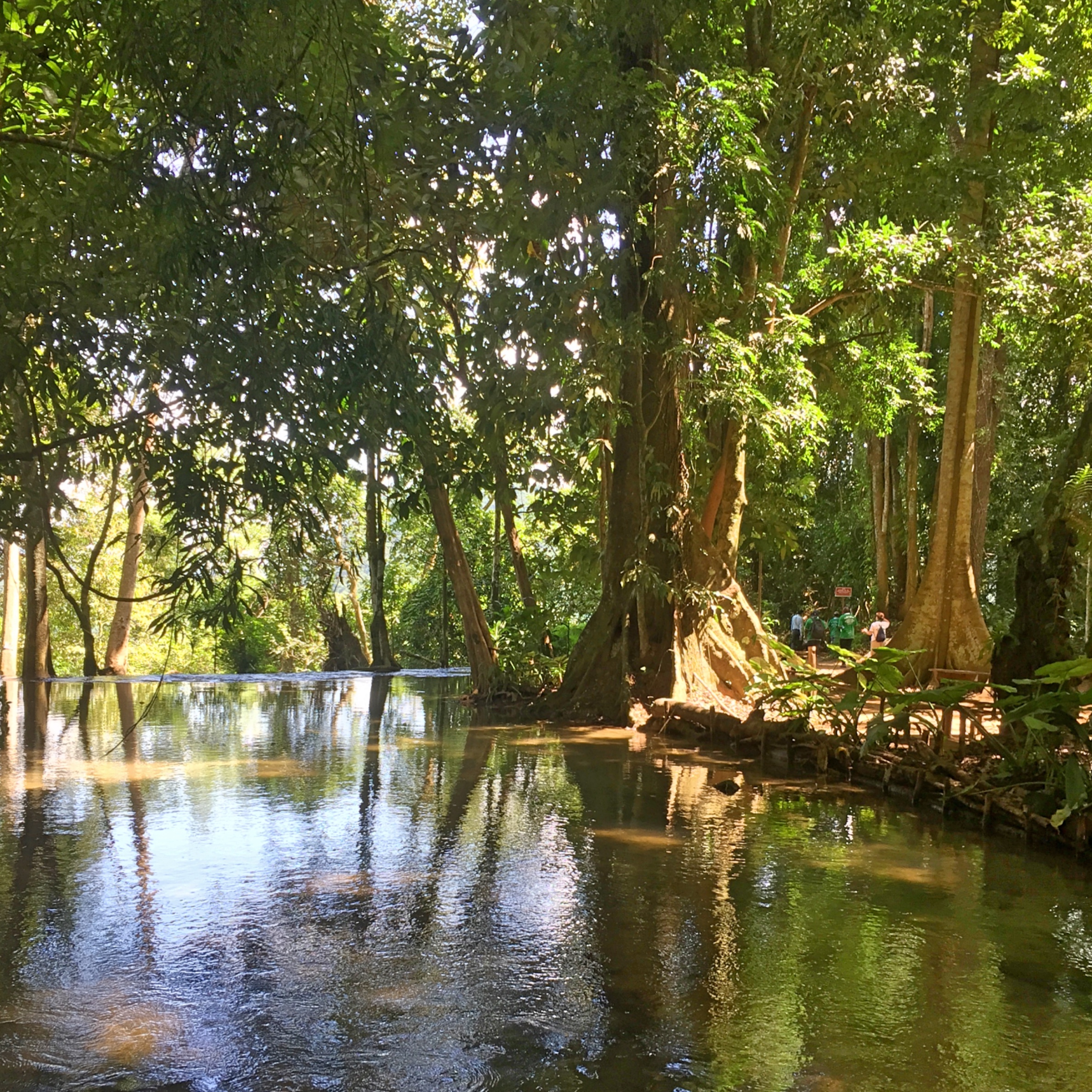 A Few Days in Luang Prabang – bbm travels